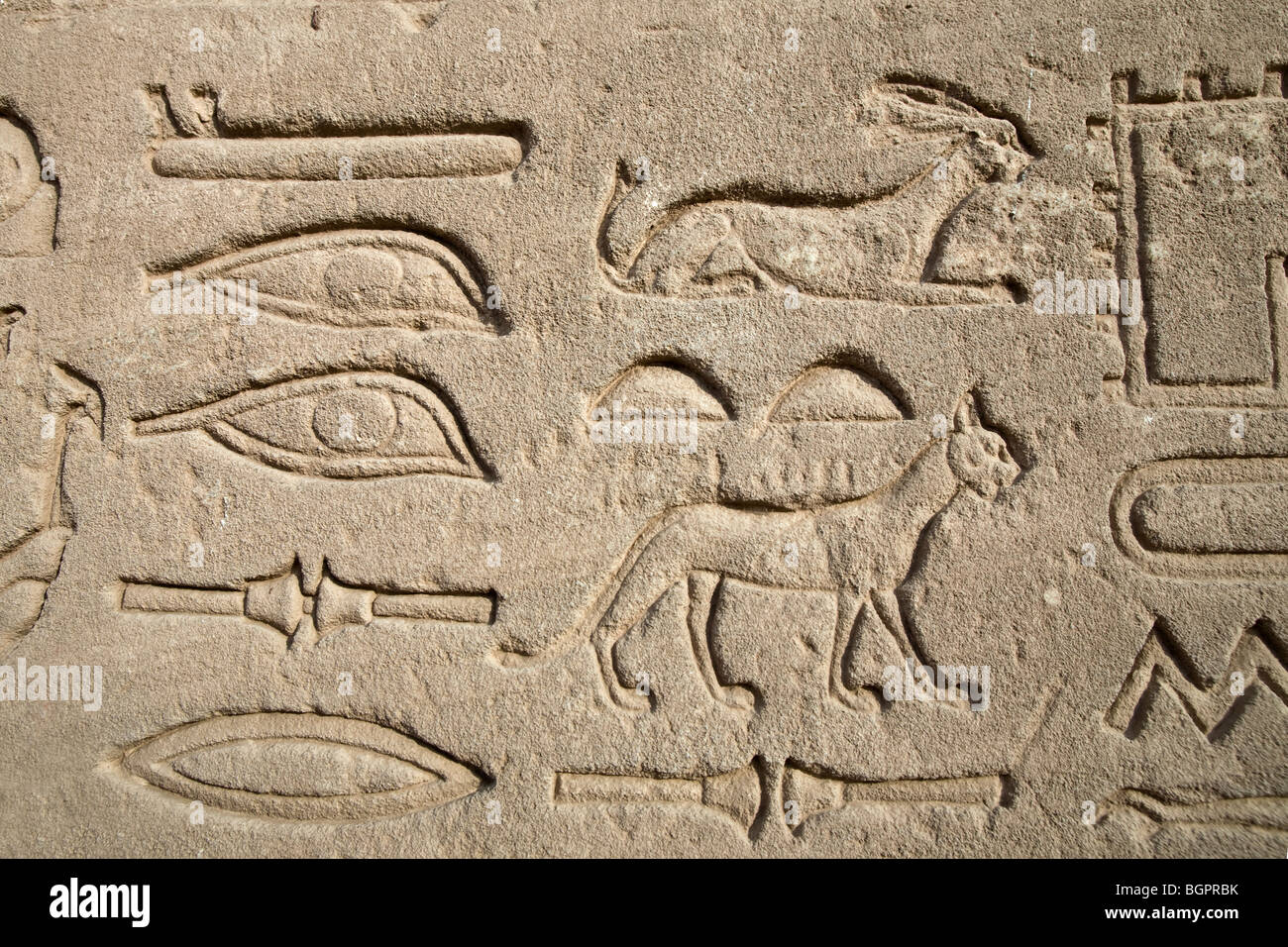 Seeing eye temple hi-res stock photography and images - Alamy