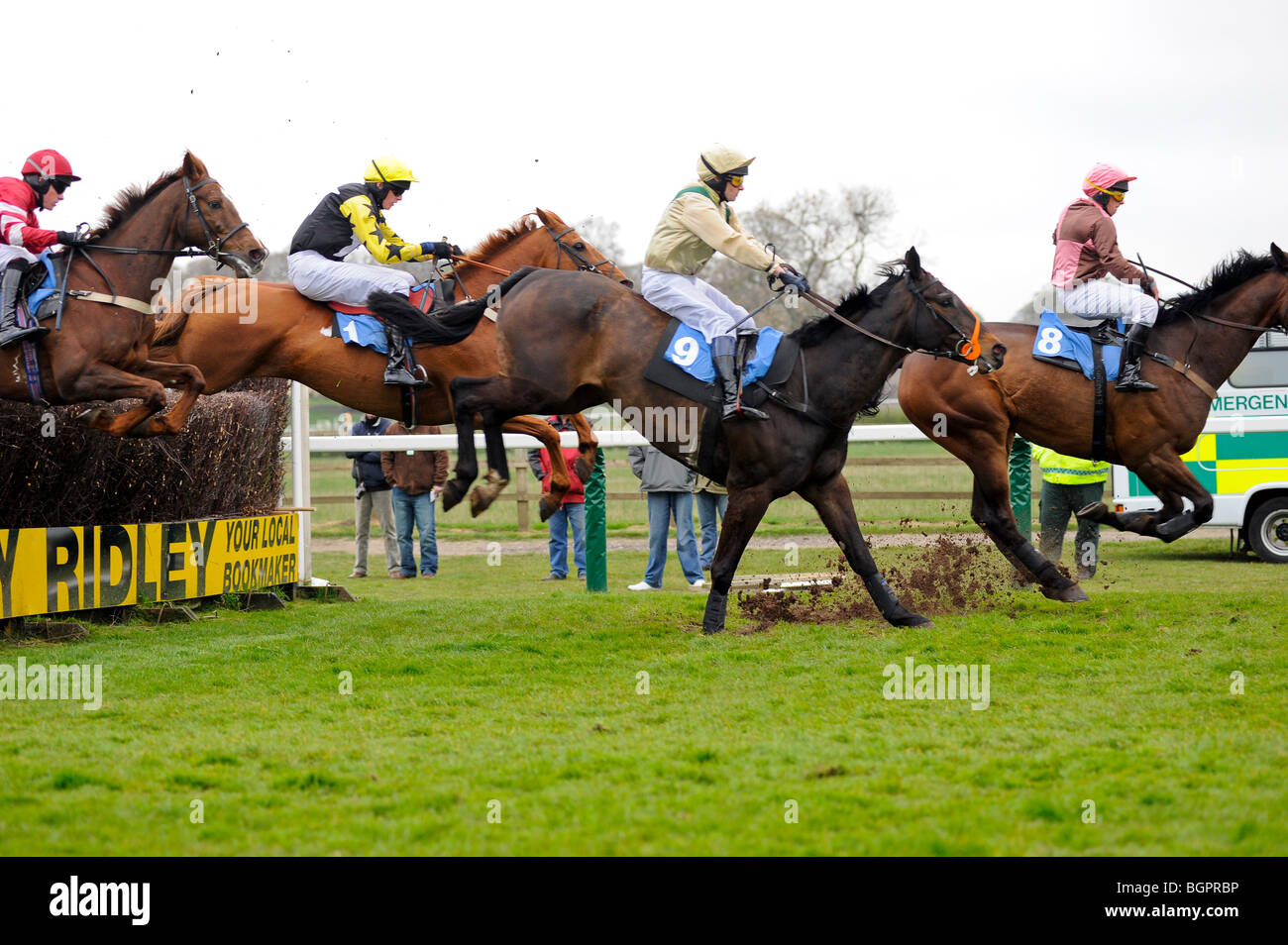 Horse and Jockey jumping last fence Sedgefield national hunt meeting ...