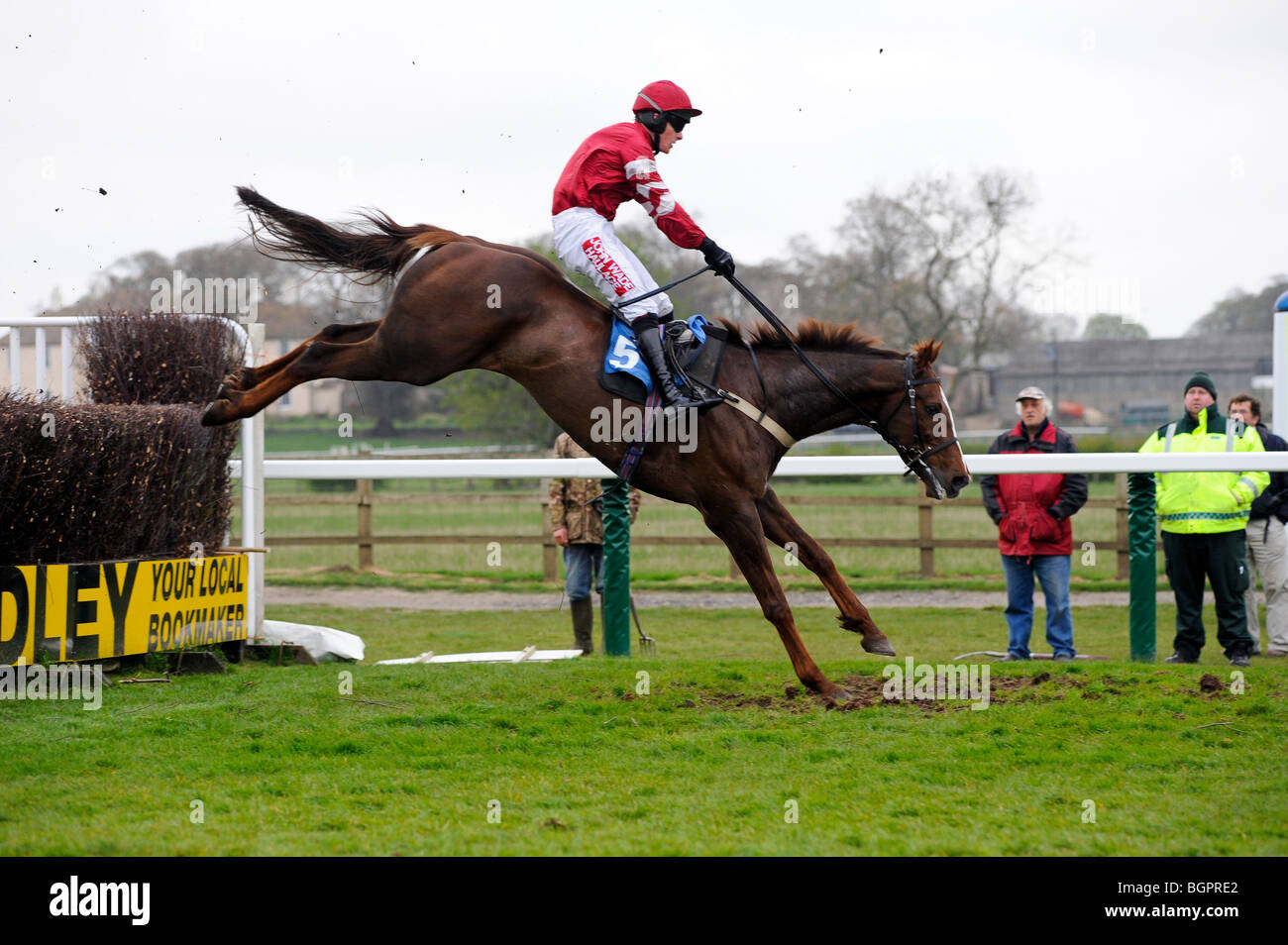 Horse and Jockey jumping last fence Sedgefield national hunt meeting ...