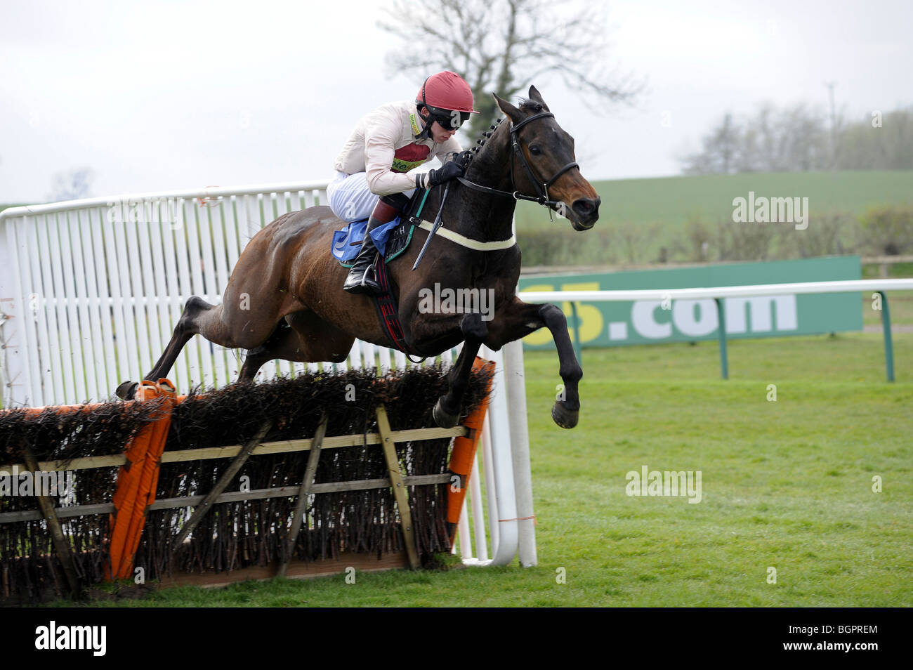 Horse and Jockey jumping last fence Sedgefield national hunt meeting ...