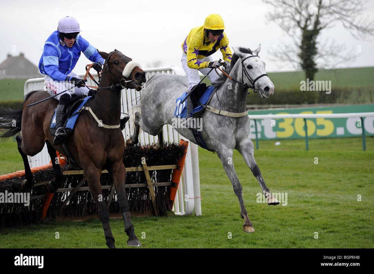 Horse and Jockey jumping last fence Sedgefield national hunt meeting ...