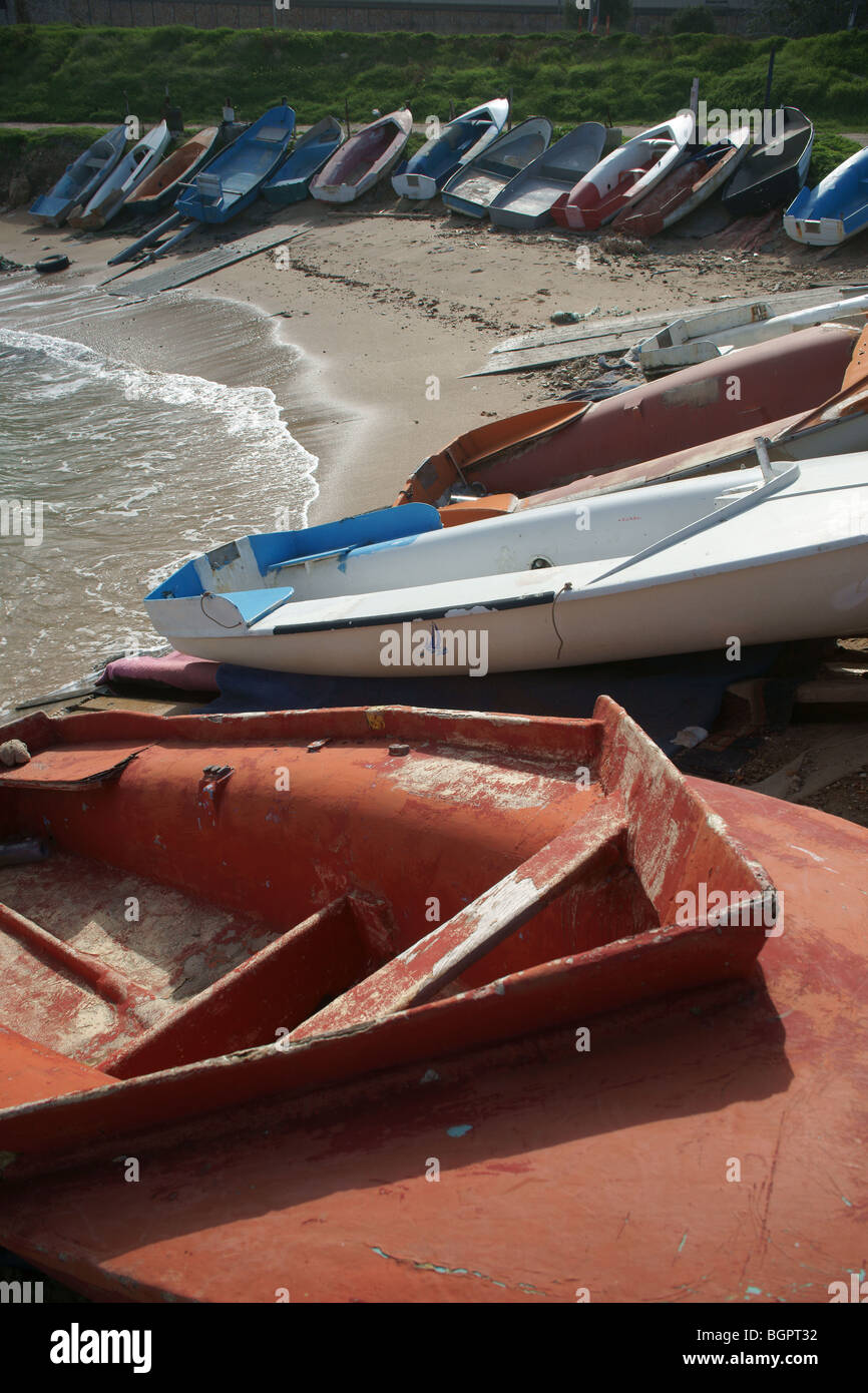 Bat in a million hi-res stock photography and images - Alamy