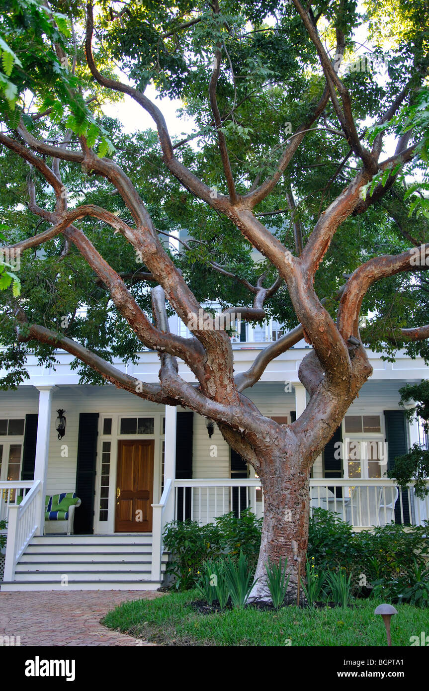Key West, Florida, USA Stock Photo - Alamy