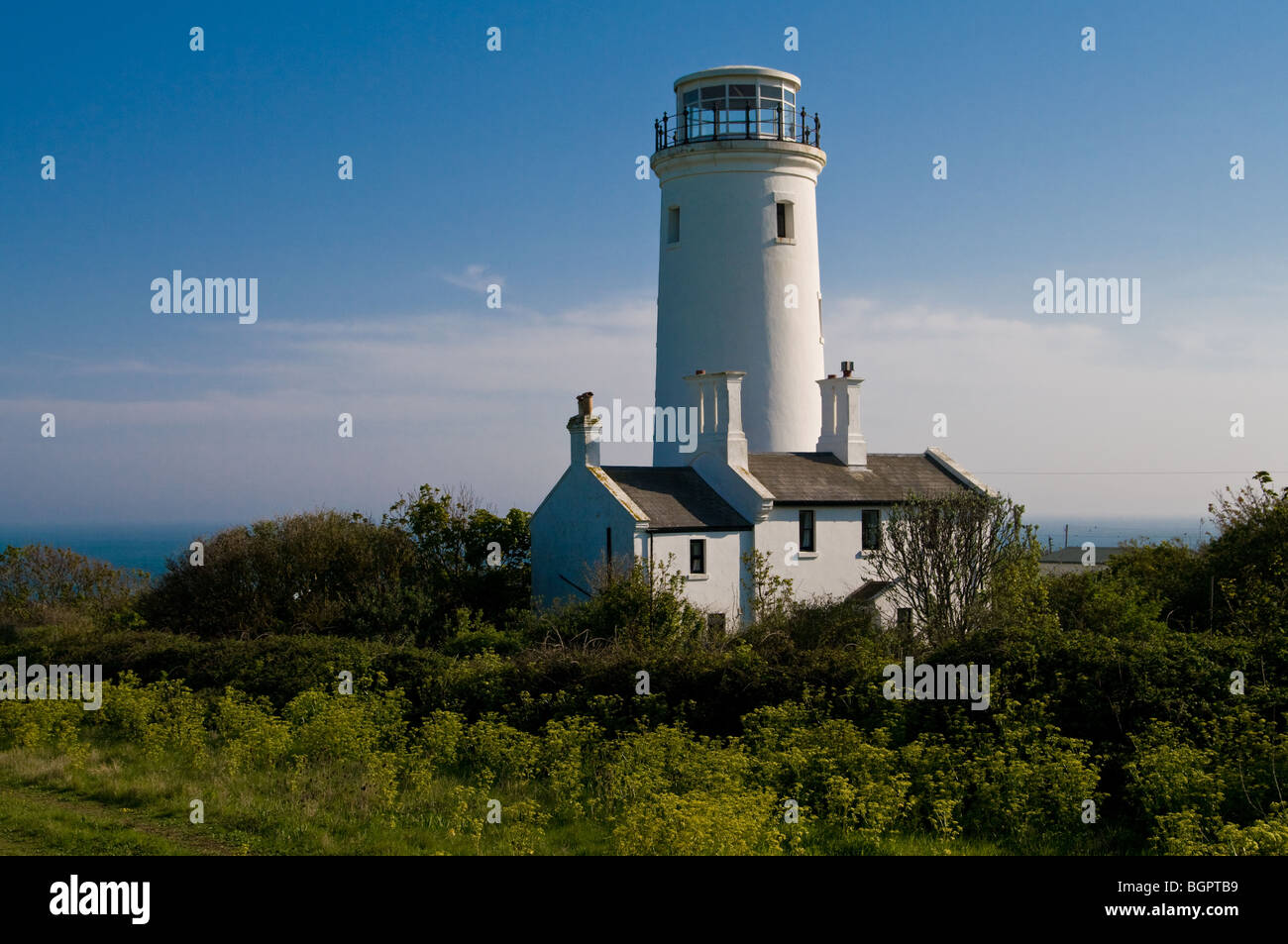 Portland bird observatory hi-res stock photography and images - Alamy