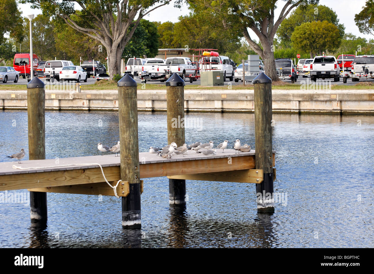 Everglades national park, Florida, USA Stock Photo - Alamy