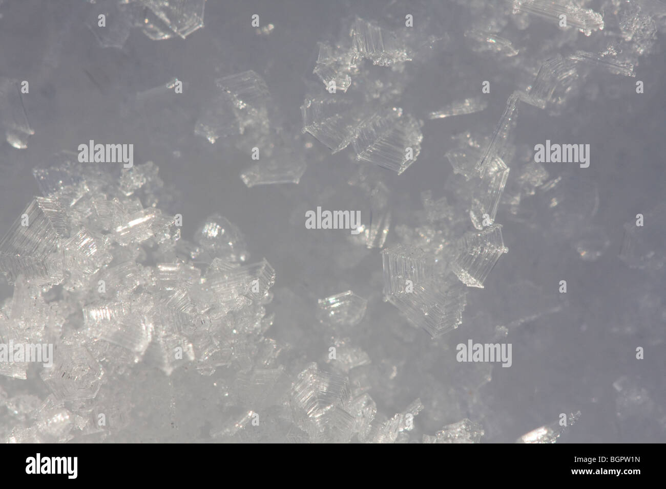 Snow flakes hi-res stock photography and images - Alamy