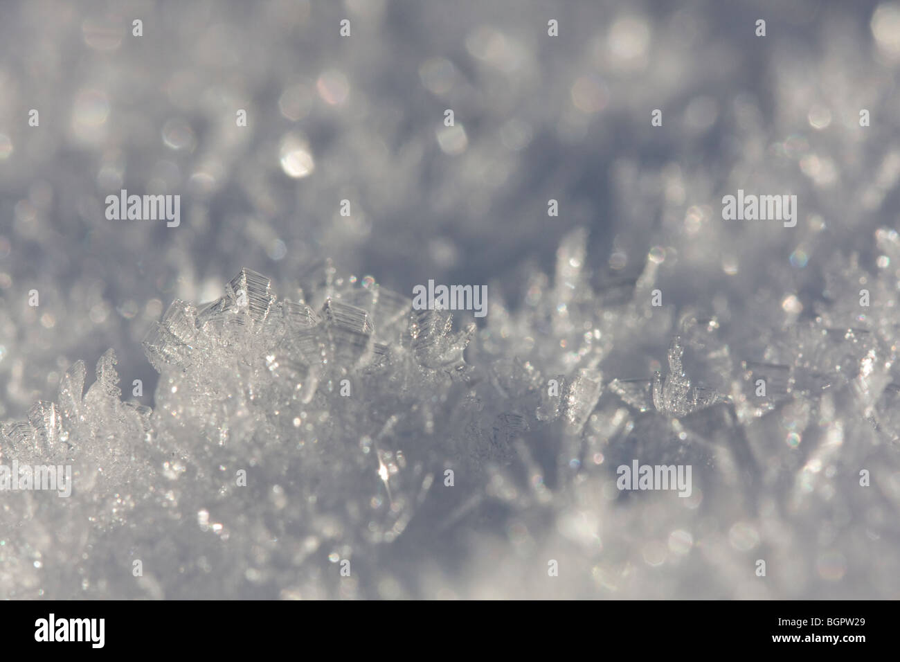 Individual flakes hi-res stock photography and images - Alamy