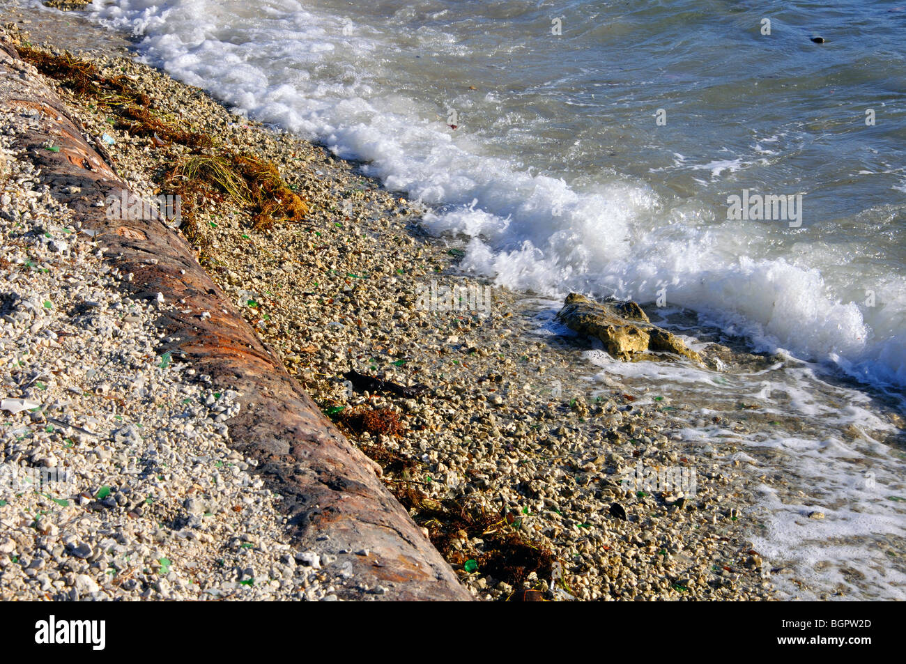 Dirty shore miami florida hi-res stock photography and images - Alamy