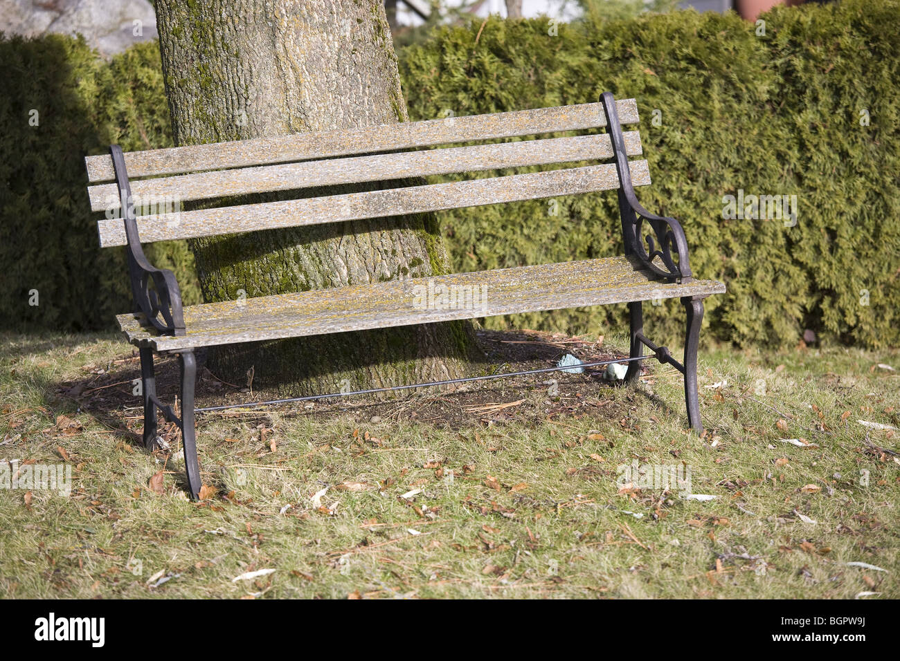 Wooden and iron bench Stock Photo - Alamy