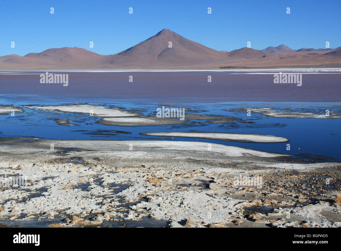 Laguna Colorada, Bolivia Stock Photo - Alamy