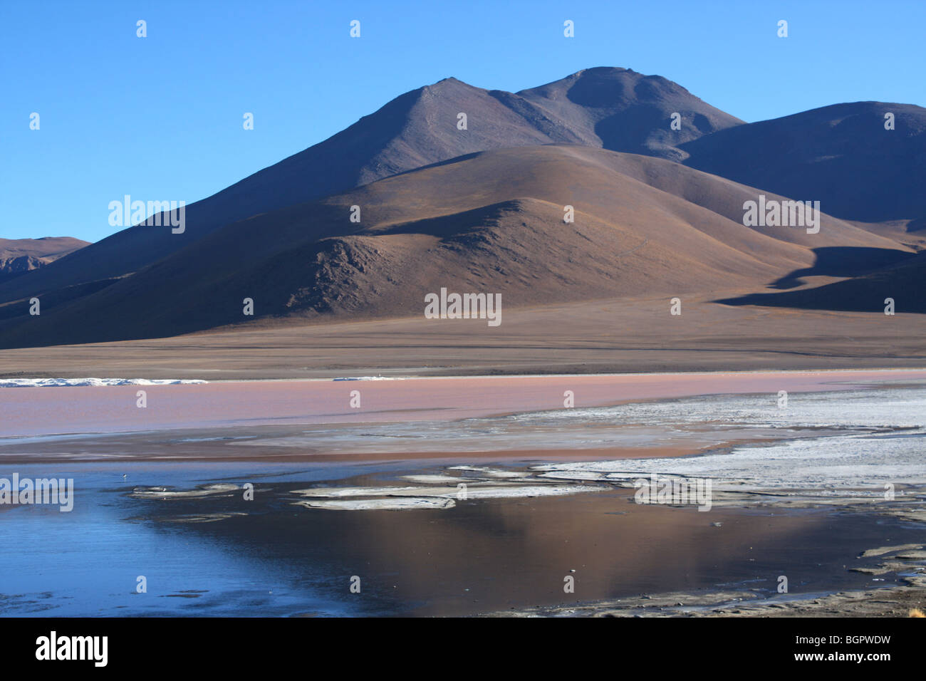 Laguna Colorada, Bolivia Stock Photo - Alamy