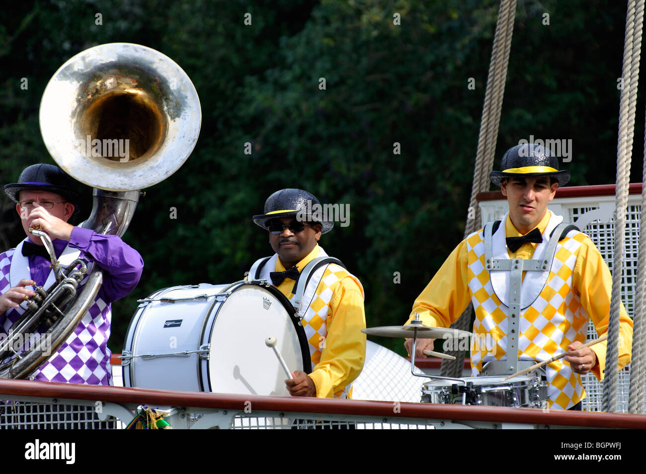 Musical Frog High Resolution Stock Photography and Images - Alamy