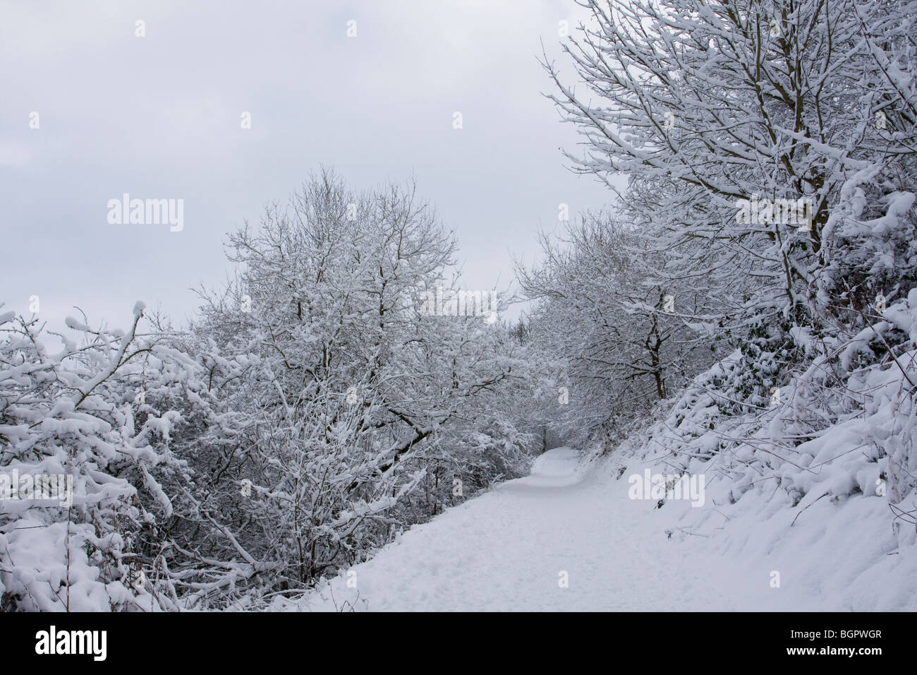 Path with snow hi-res stock photography and images - Alamy