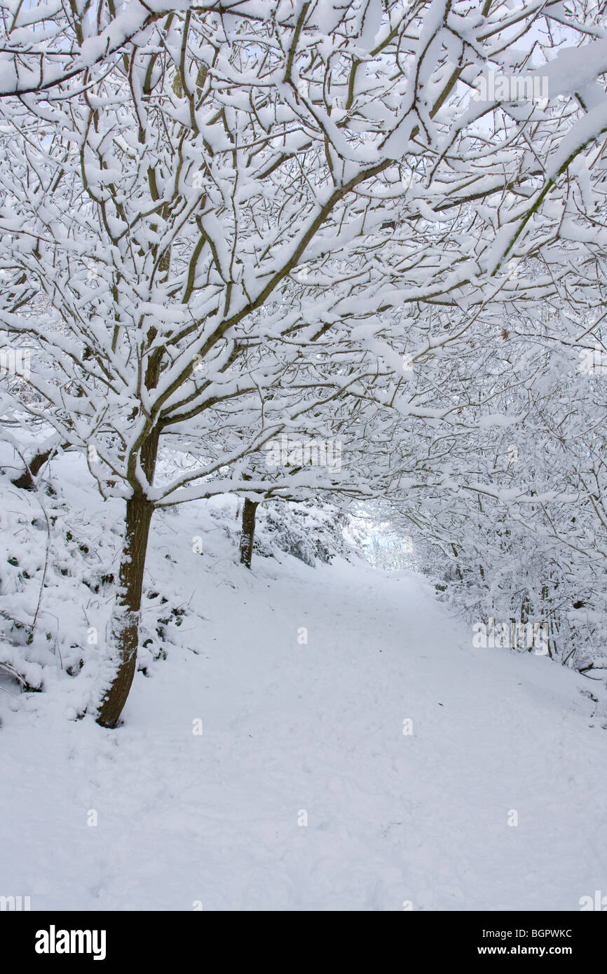 Path with snow hi-res stock photography and images - Alamy