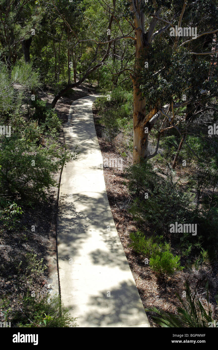 Jogging track at Kings Park in Perth, Western Australia Stock Photo - Alamy