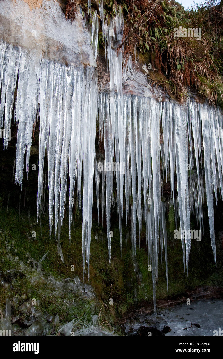 Cold icicles face hi-res stock photography and images - Alamy