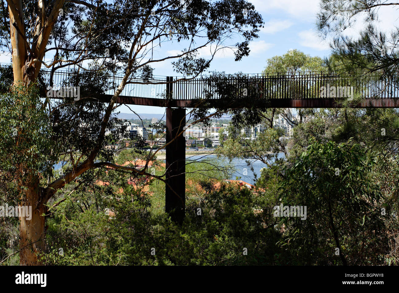 Elevated walkway at Kings Park in Perth, Western Australia Stock Photo ...