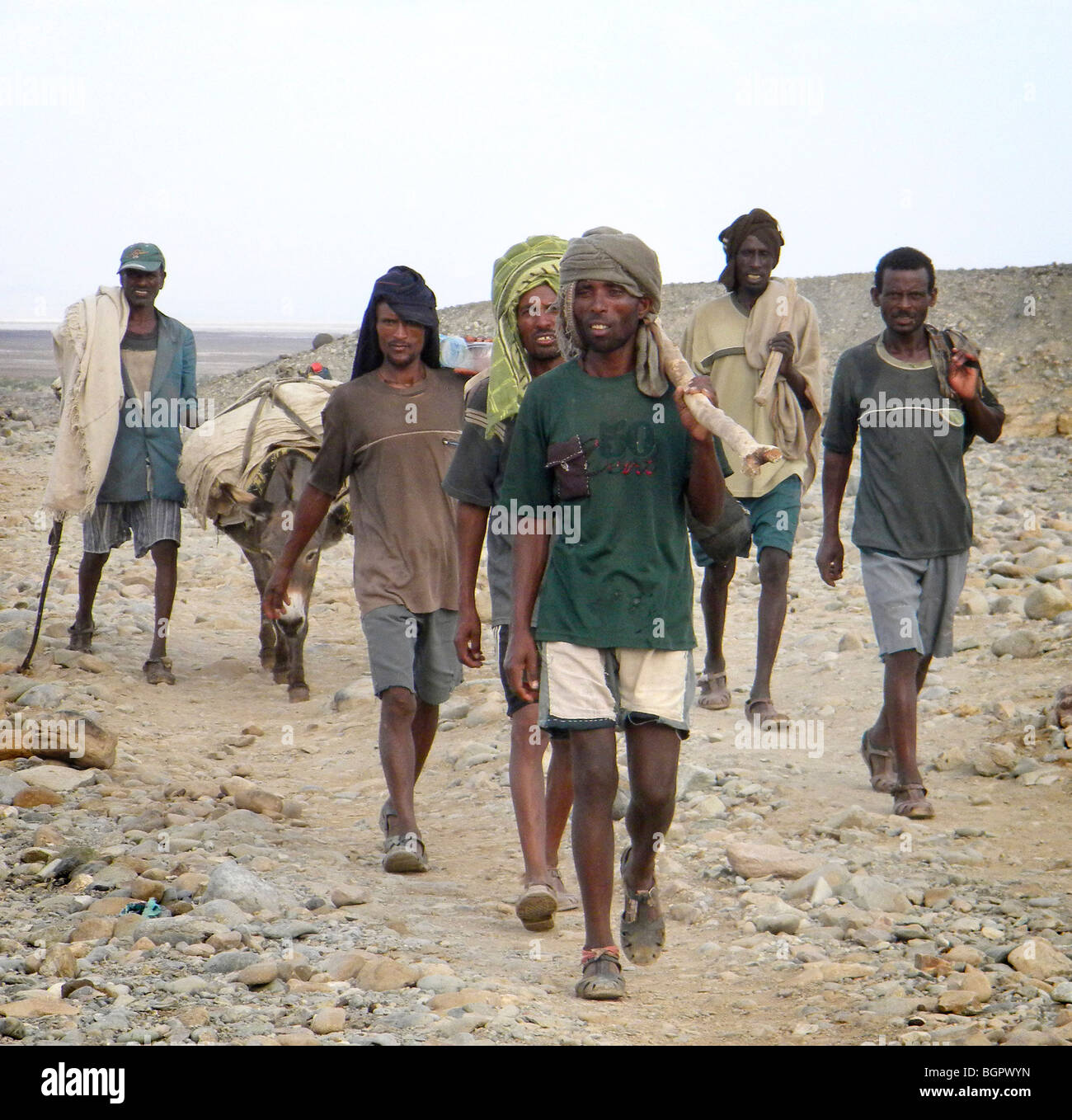 afar nomads, danakil, ethiopia Stock Photo - Alamy