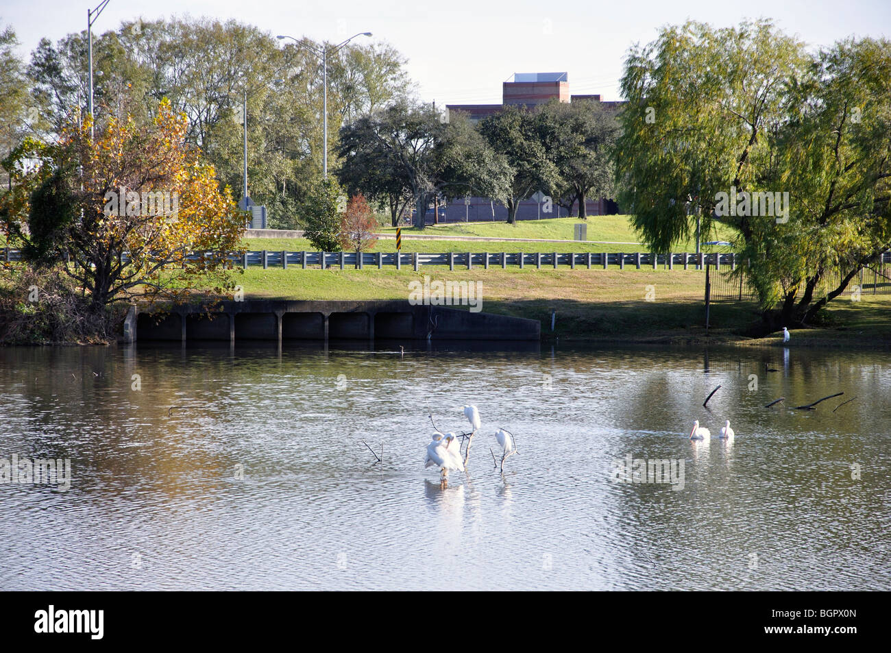 Baton Rouge, Louisiana, USA Stock Photo - Alamy