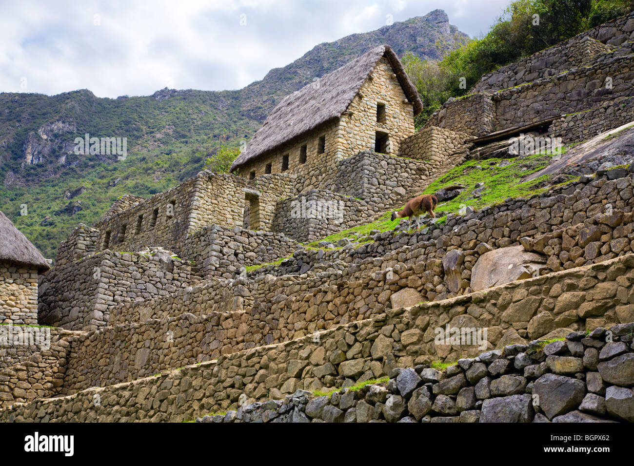 Gate house at Machu Picchu Stock Photo - Alamy
