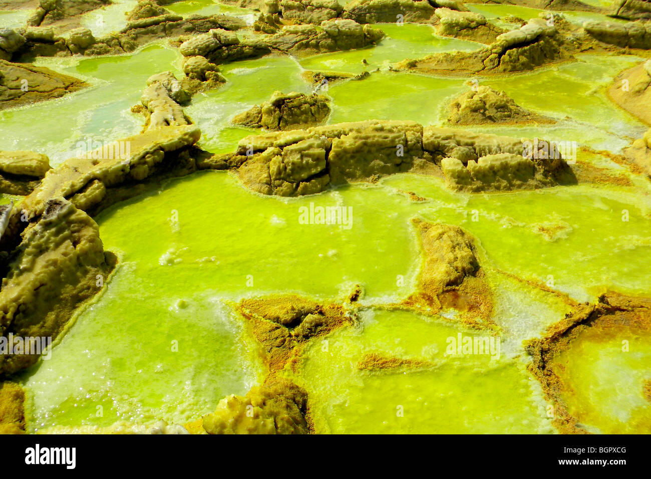 Sulfuric acid pond Dallol is a volcanic, danakil depression, ethiopia ...