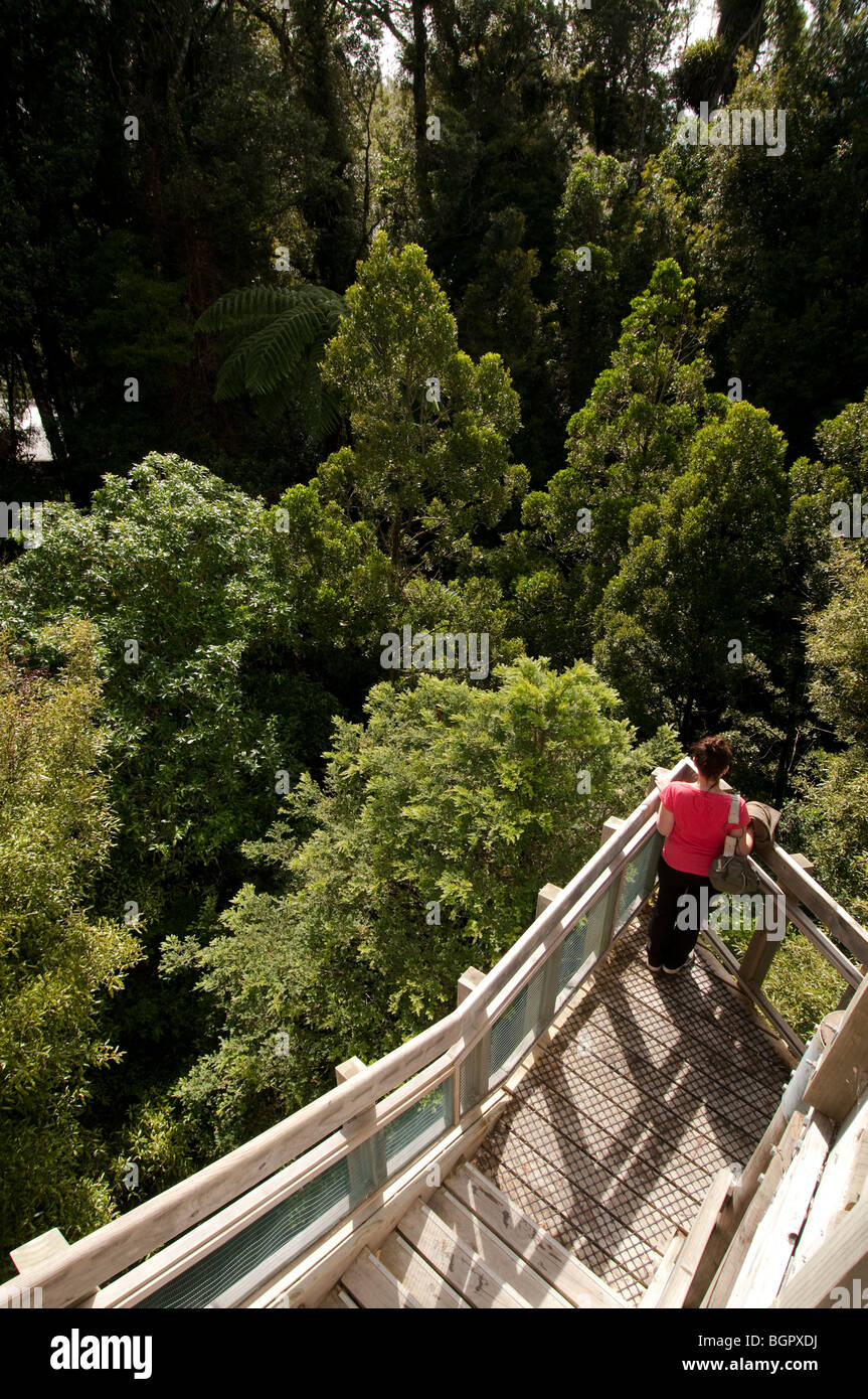 Canopy platform hi-res stock photography and images - Alamy