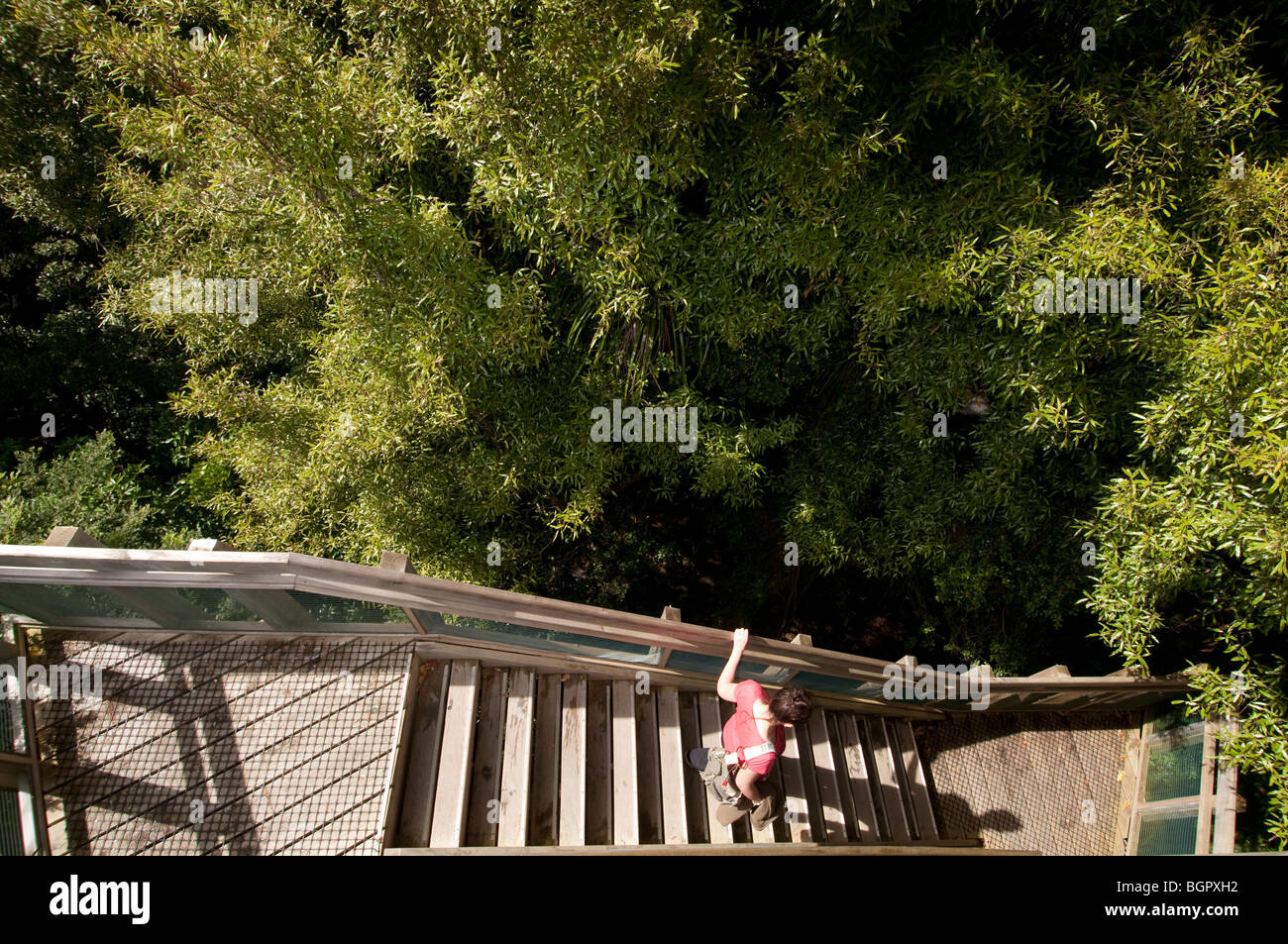 Viewing tower, with a women lookig at view, which allows you to sit ...