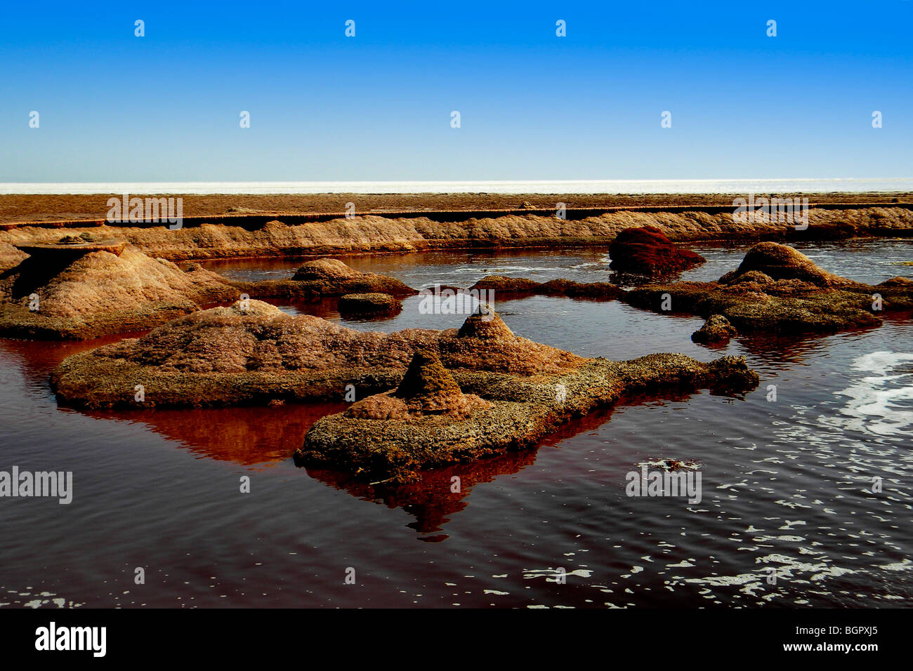 Dallol lake danakil ethiopia hi-res stock photography and images - Alamy