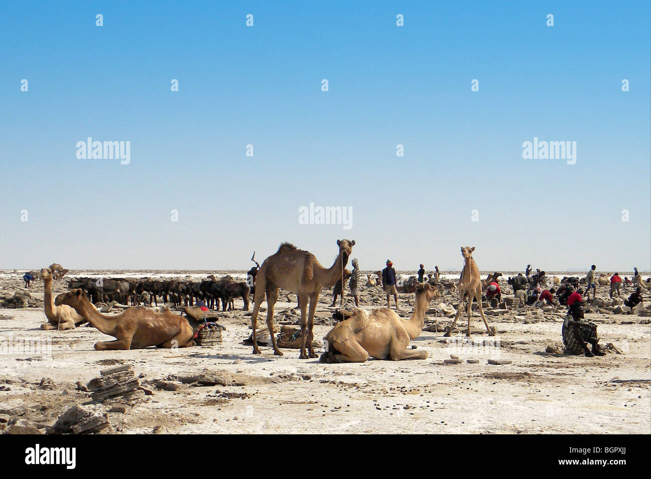 Lake asale hi-res stock photography and images - Alamy