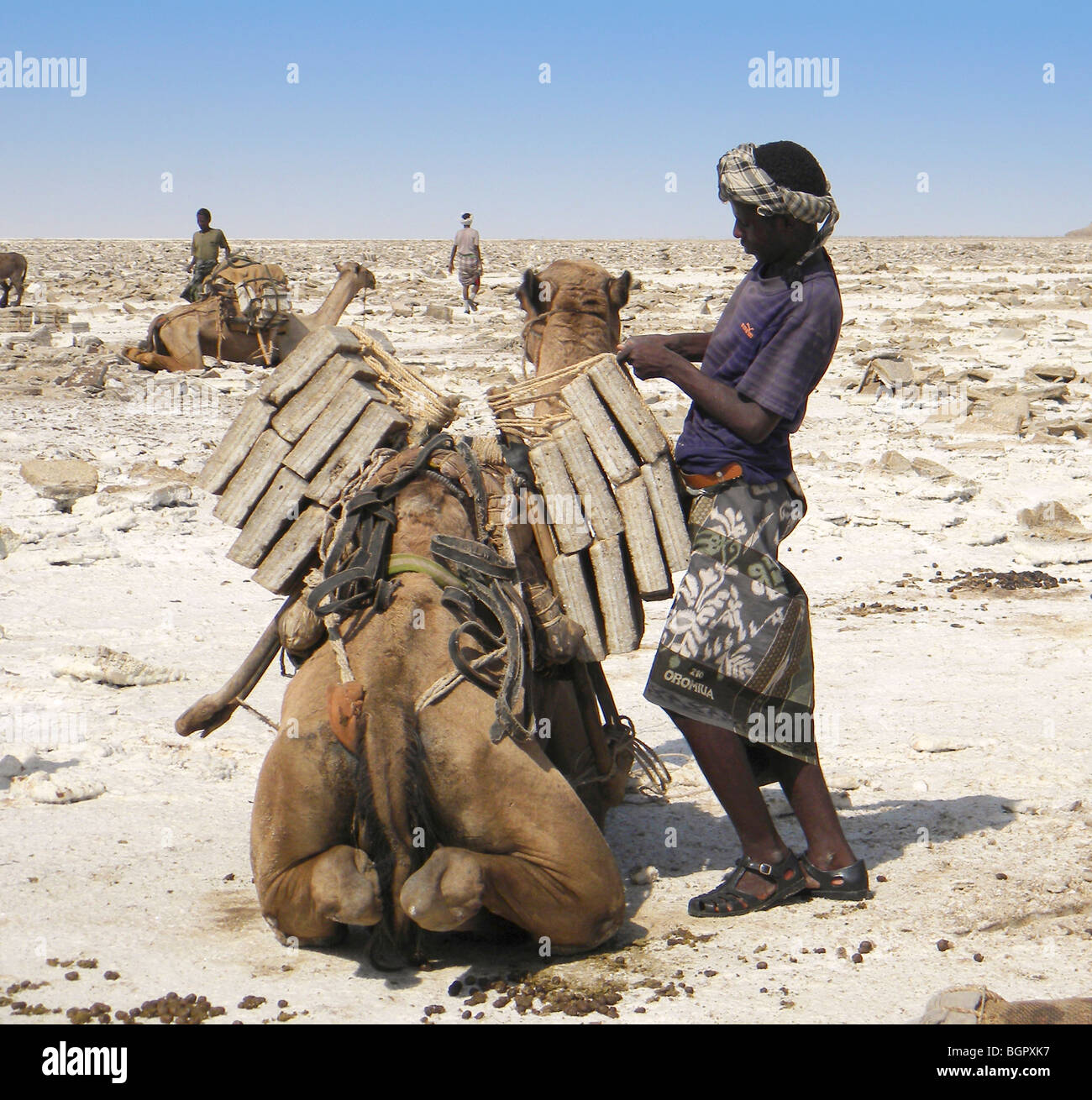 Asale salt lake, danakil, ethiopia Stock Photo - Alamy