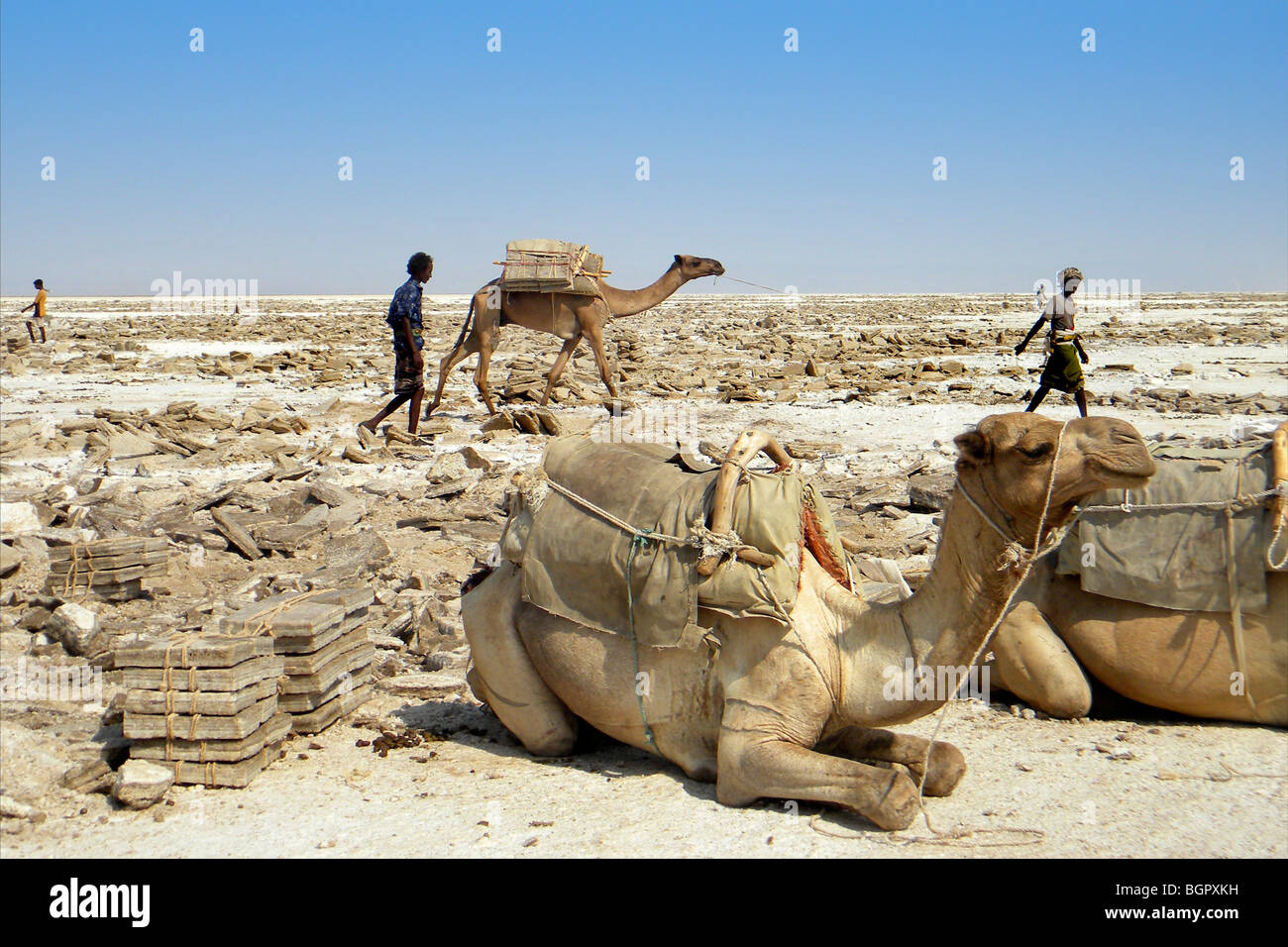 Asale salt lake, danakil, ethiopia Stock Photo - Alamy