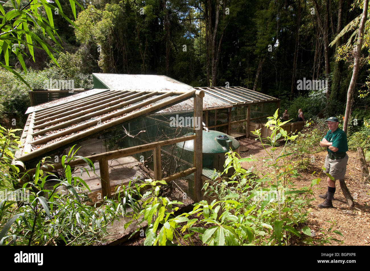 Cage and aviary bird hi-res stock photography and images - Alamy