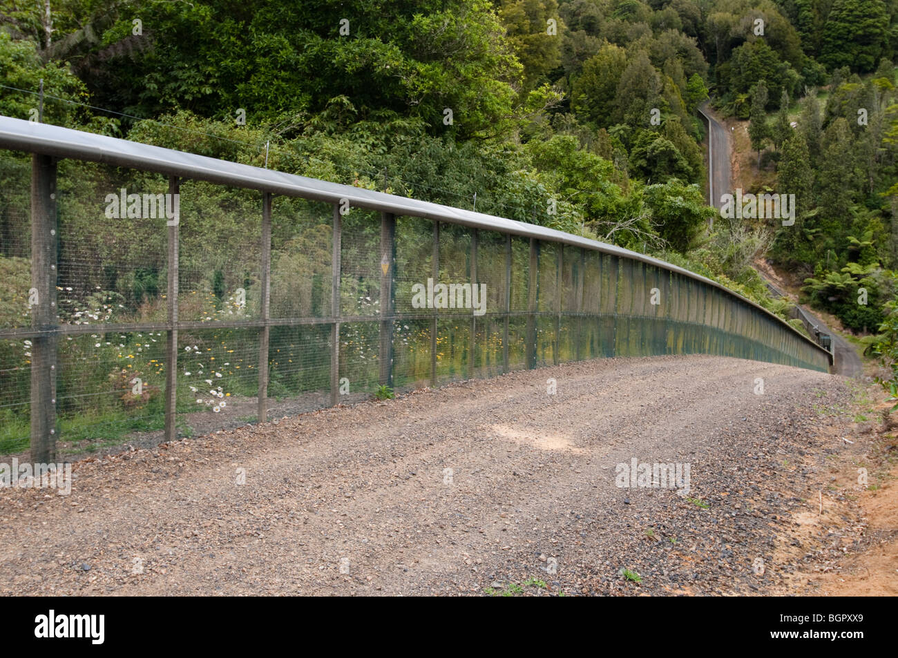 Track along path inside Maungatatutari ecological island trust reserve ...