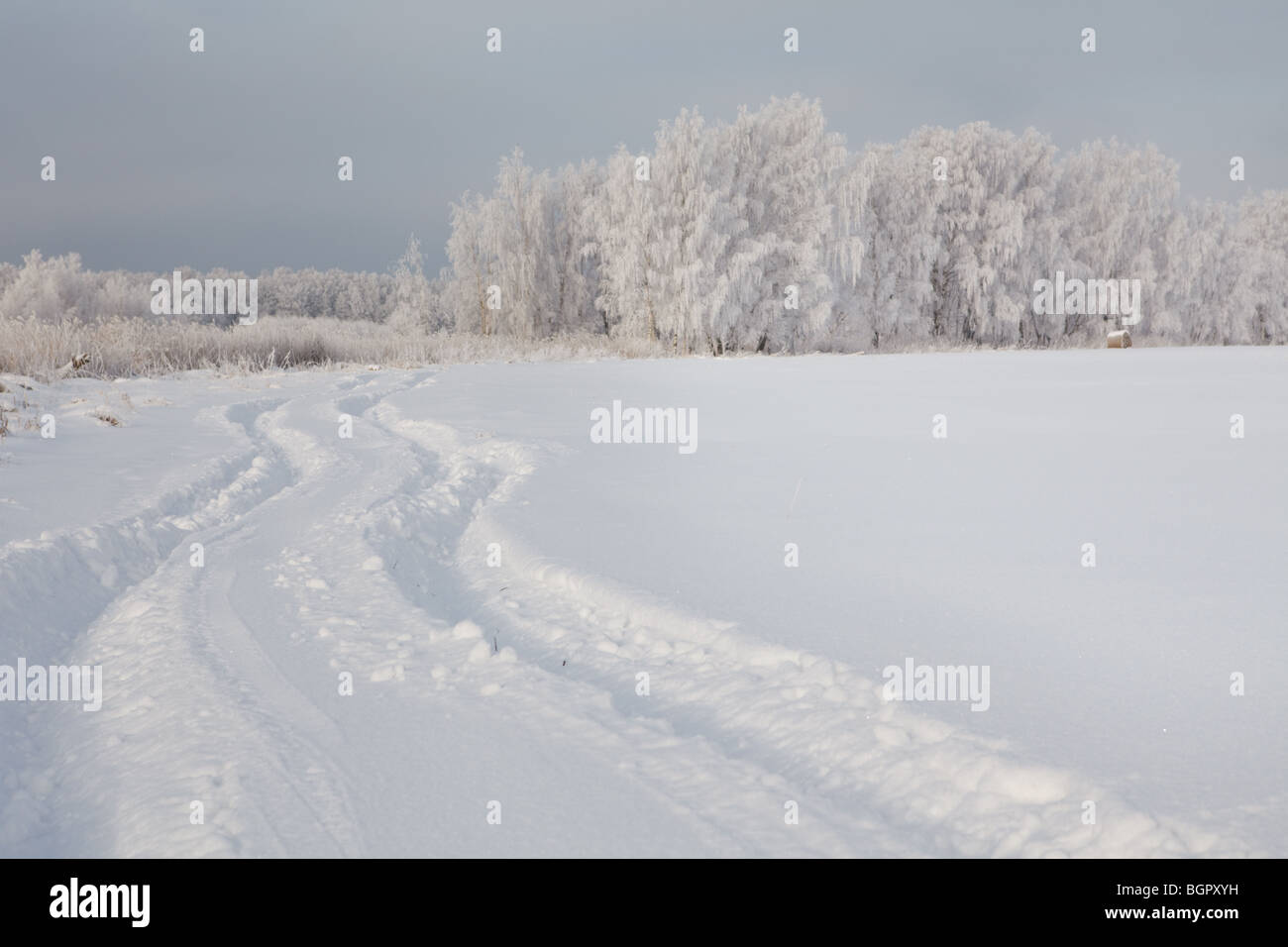 Deep snow by road hi-res stock photography and images - Alamy