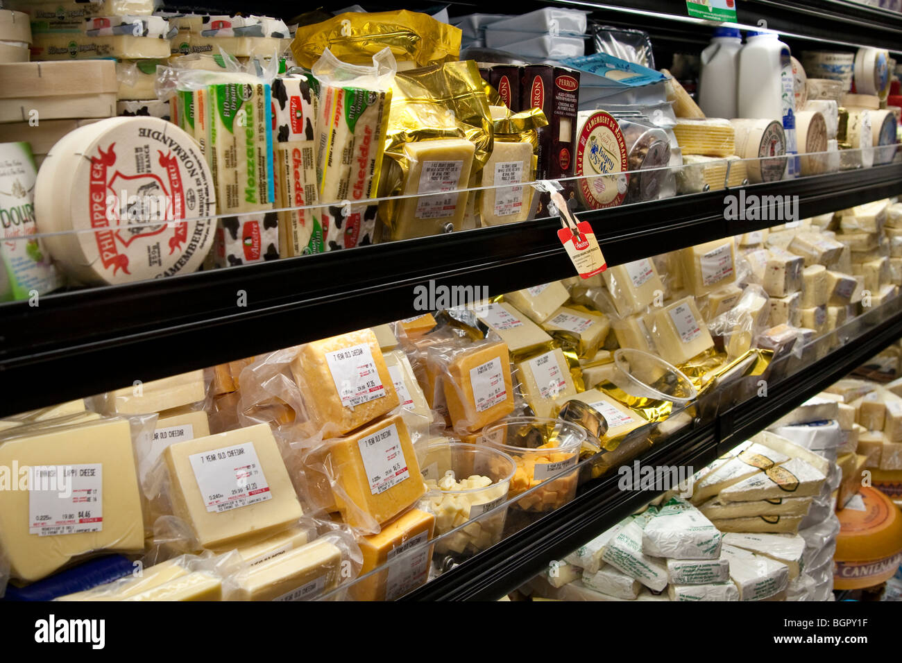 Cheese on display, St. Lawrence Market, Toronto, Canada Stock Photo - Alamy