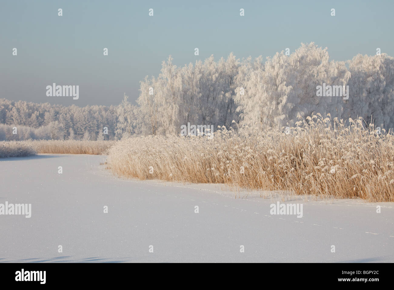Winter landscape, frozen river bank Stock Photo - Alamy