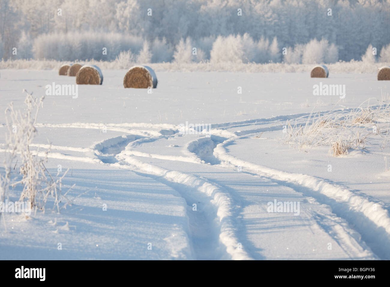 Winter landscape, hay bales covered with snow Stock Photo - Alamy