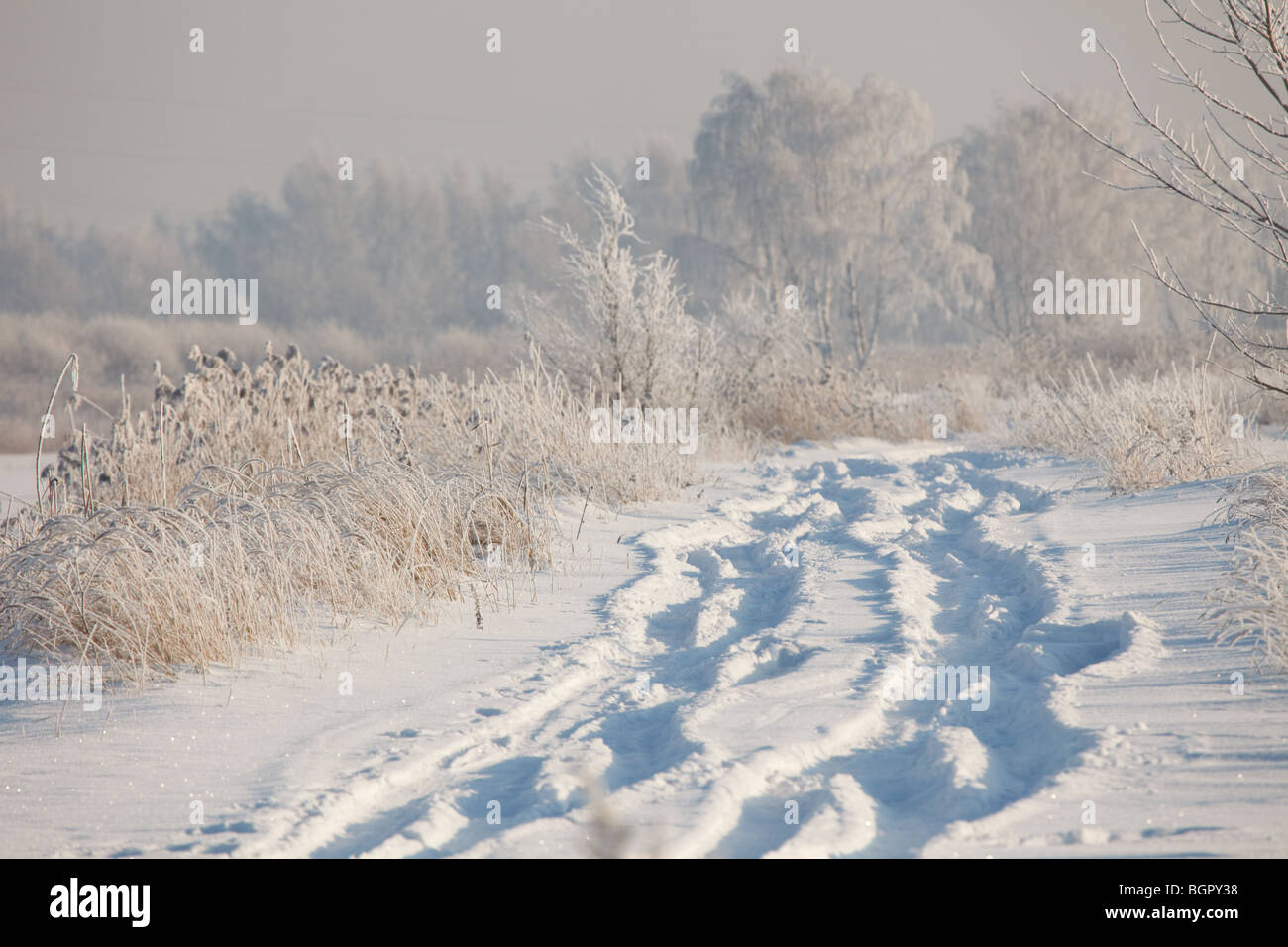Winter landscape, country road with car trail in fresh deep snow Stock ...