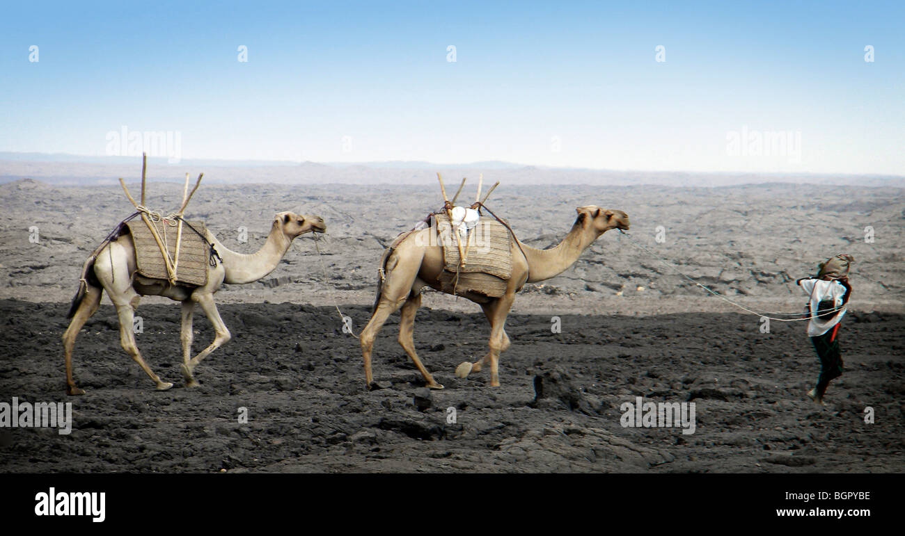 afar people, danakil, ethiopia Stock Photo - Alamy