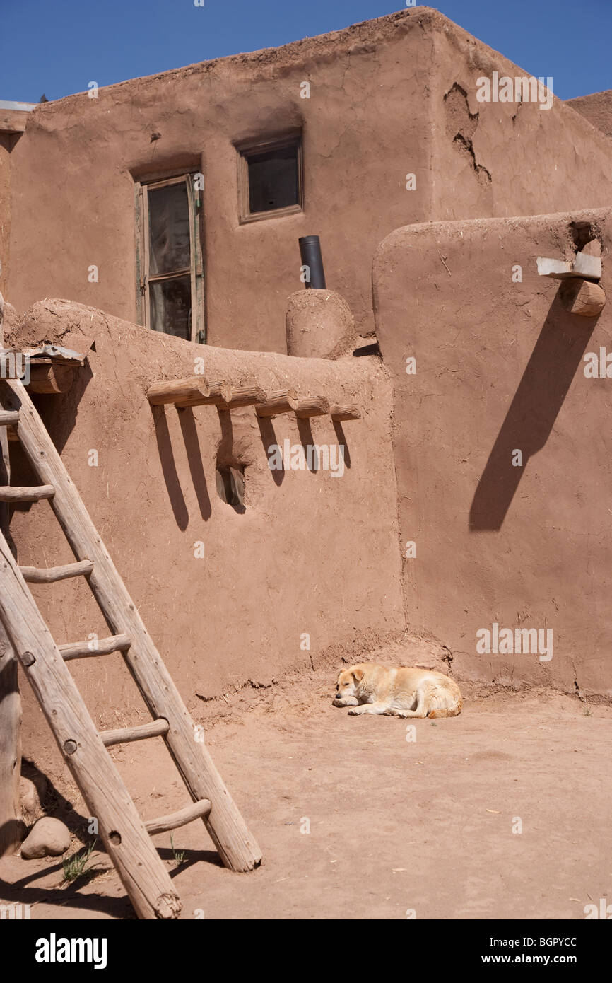 Multi-storied mud and straw adobe buildings with old wooden ladder Taos ...