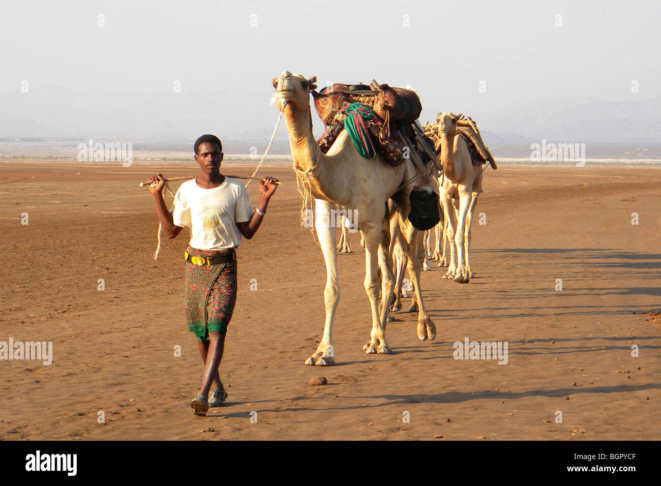 afar nomads, danakil, ethiopia Stock Photo - Alamy