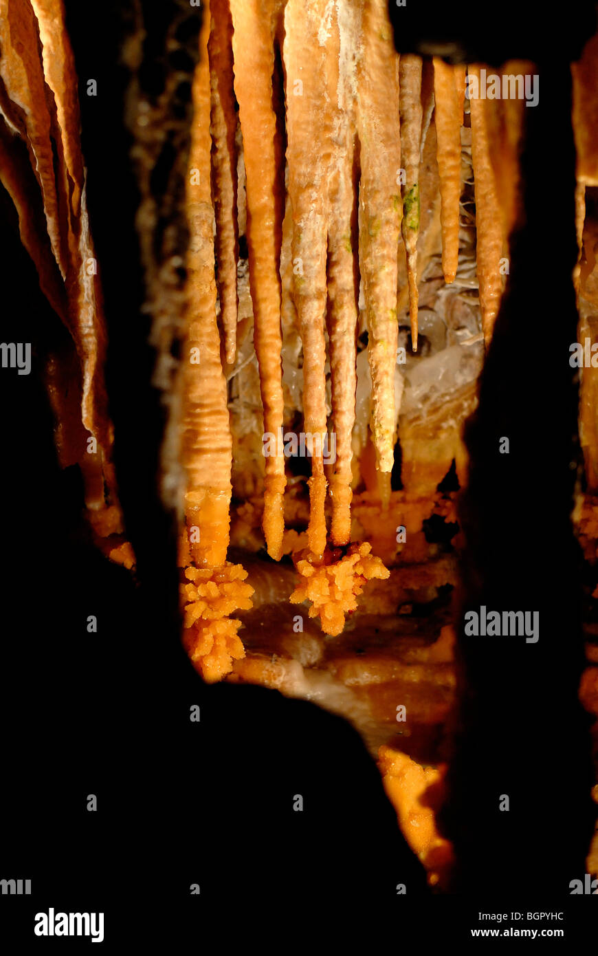 Stalactites with clusters of crystals. Margaret River, Western ...