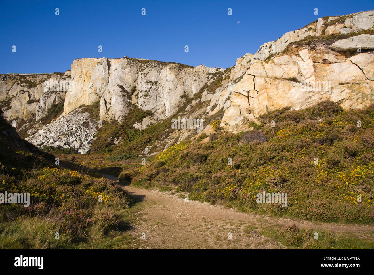 Coastal walking path near South Stack, Holyhead, Anglesey Stock Photo ...