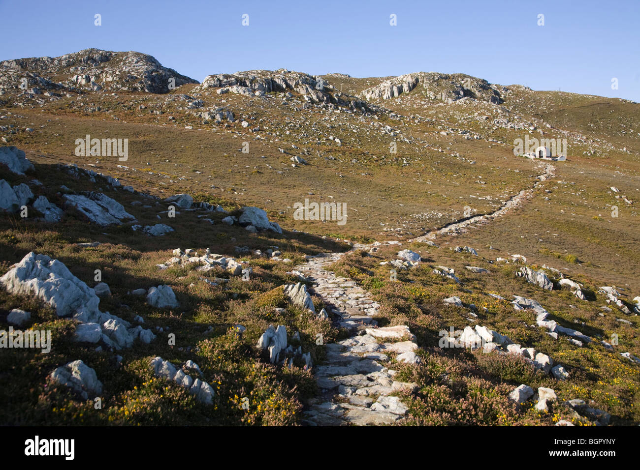 Coastal path near South Stack, Holyhead, Anglesey Stock Photo - Alamy