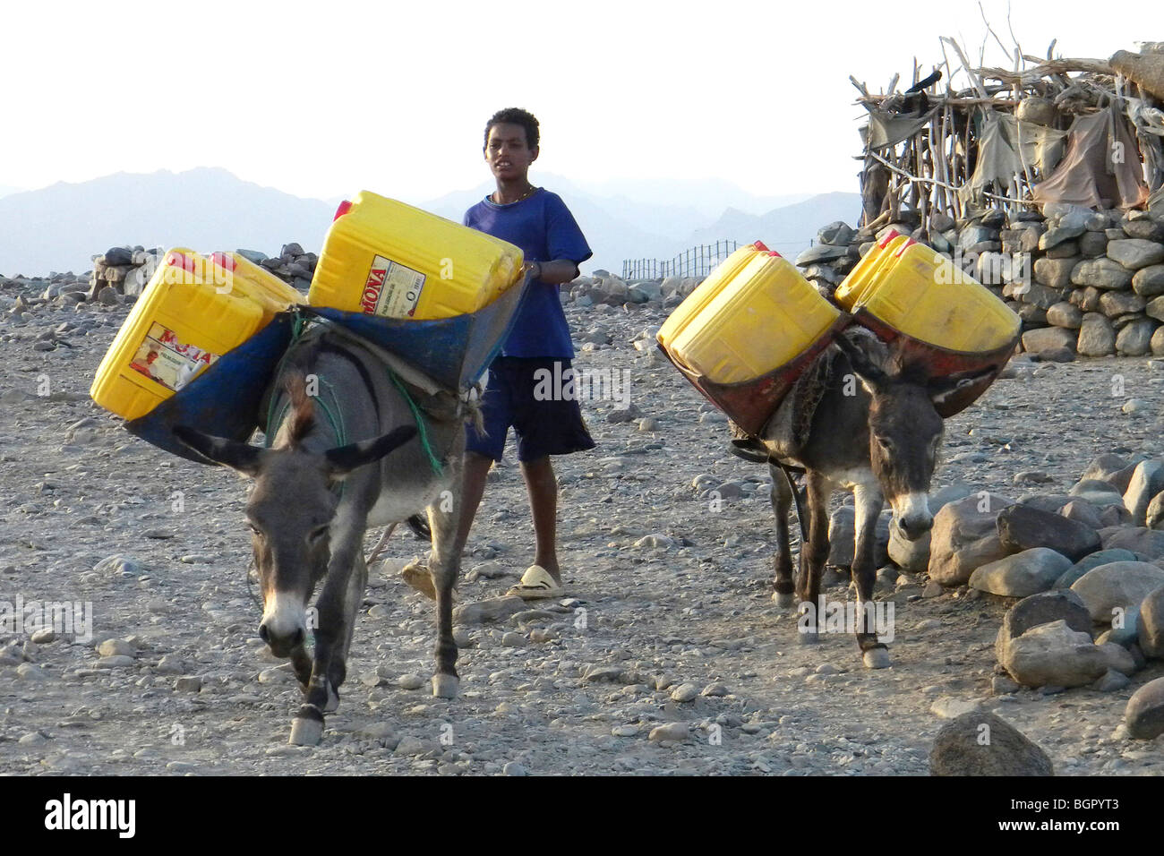 Tigray valley, Surrounding of Wukro, Tigray, Ethiopia Stock Photo - Alamy