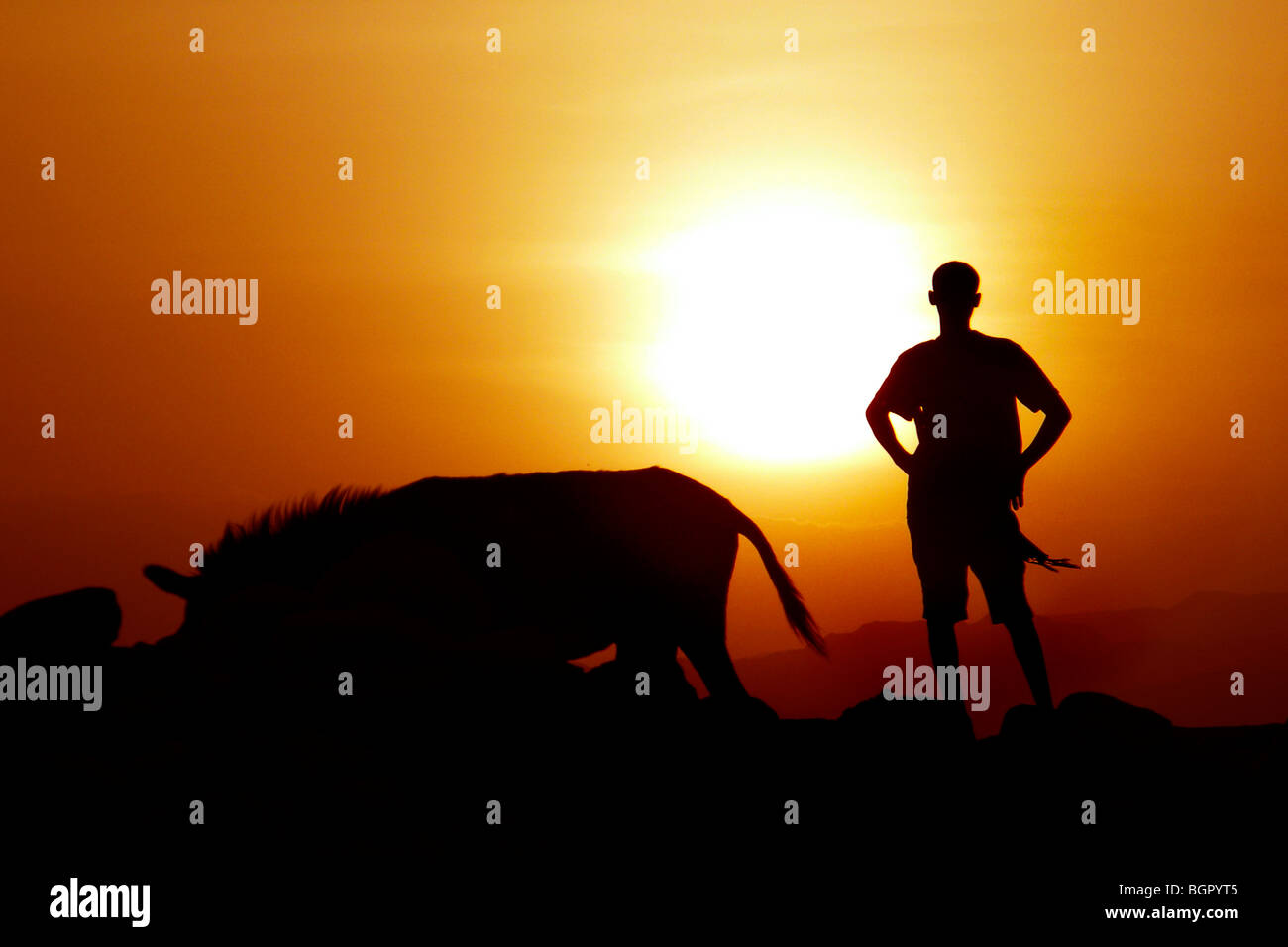 Tigray valley, Surrounding of Wukro, Tigray, Ethiopia Stock Photo - Alamy