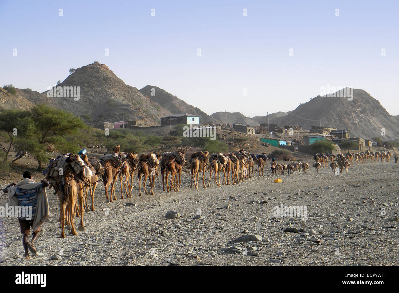 Afar nomads, Tigray valley, Surrounding of Wukro, Tigray, Ethiopia ...