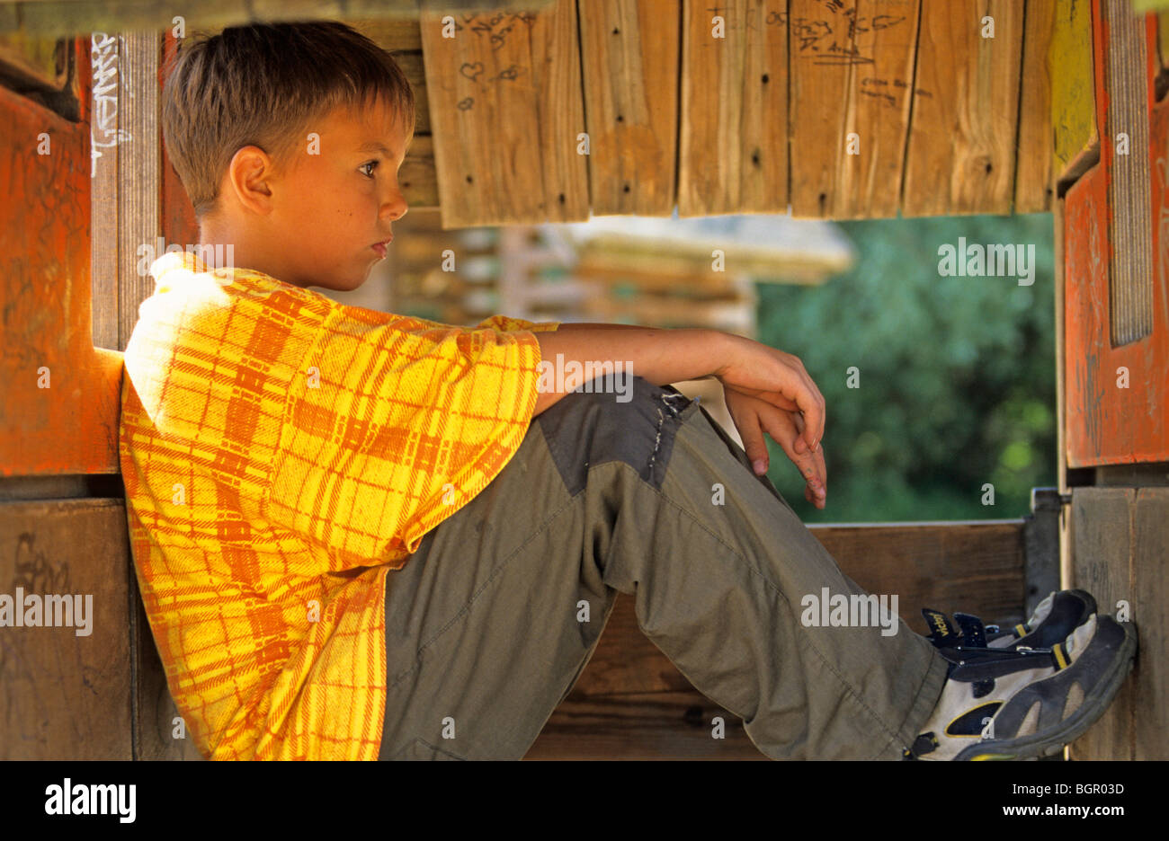 portrait of an unhappy boy sitting in a tree house Stock Photo - Alamy