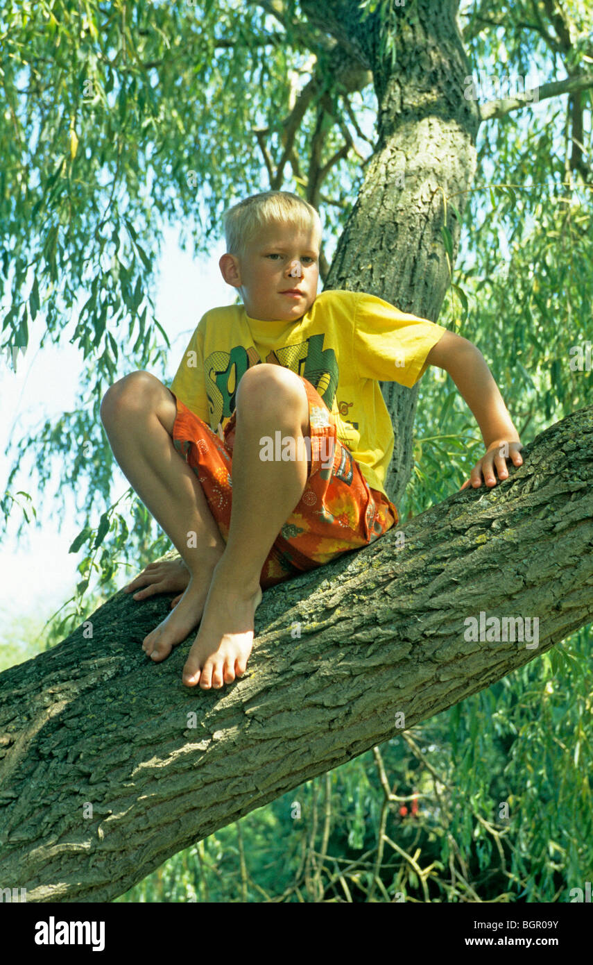 young boy sitting in a tree Stock Photo - Alamy
