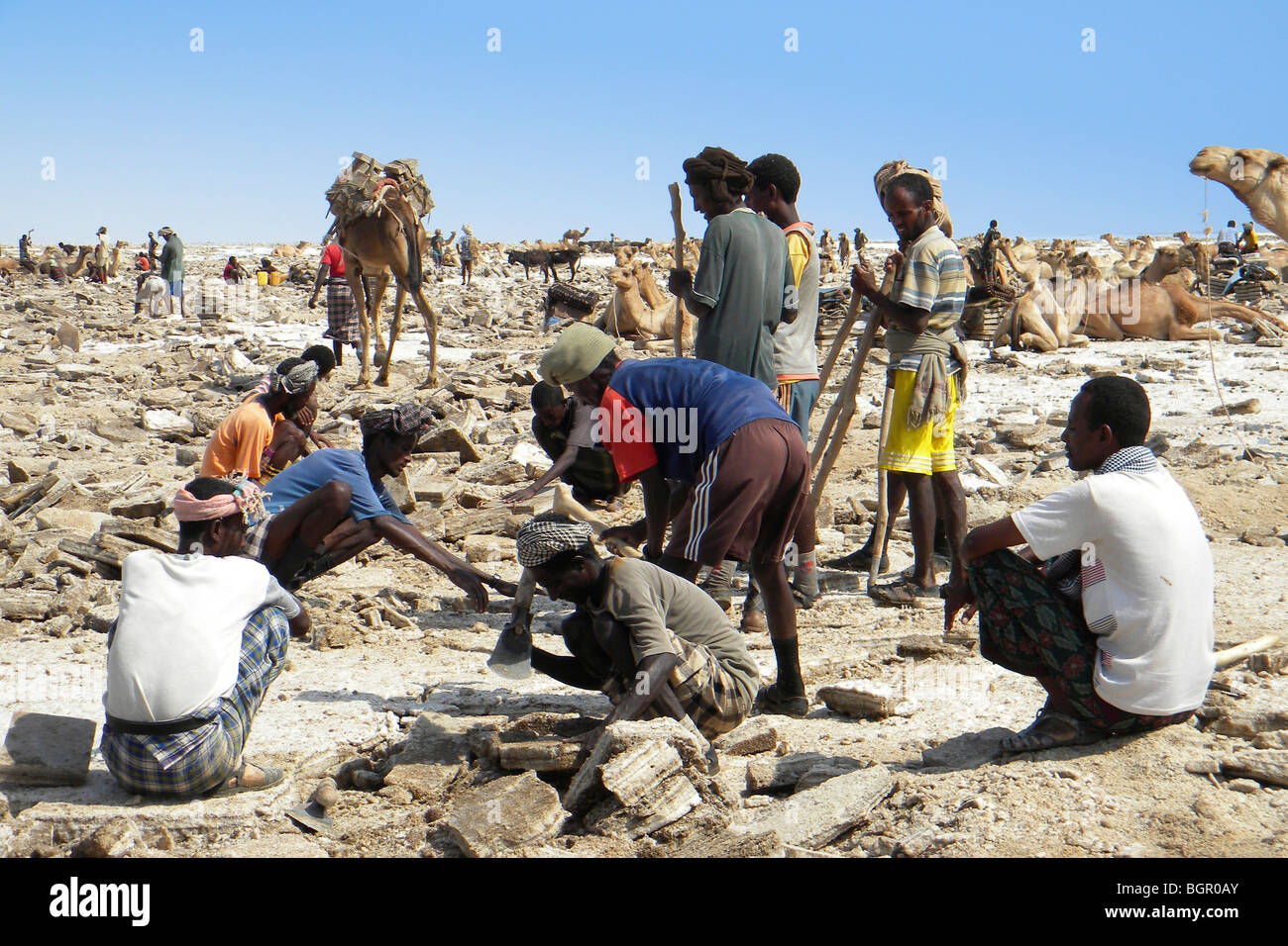 Asale salt lake, danakil, ethiopia Stock Photo - Alamy